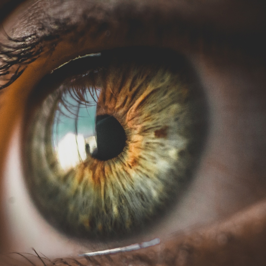 Wet AMD Treatment | Wet Age Related Macular Degeneration